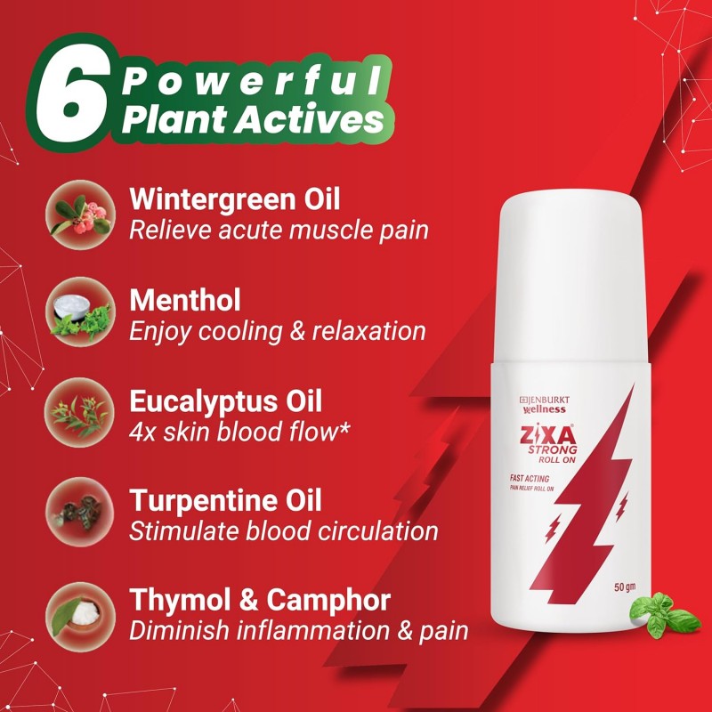 ZIXA Strong Roll OnRapid Pain Relief for Headache Muscle Pain Knee Pain ...